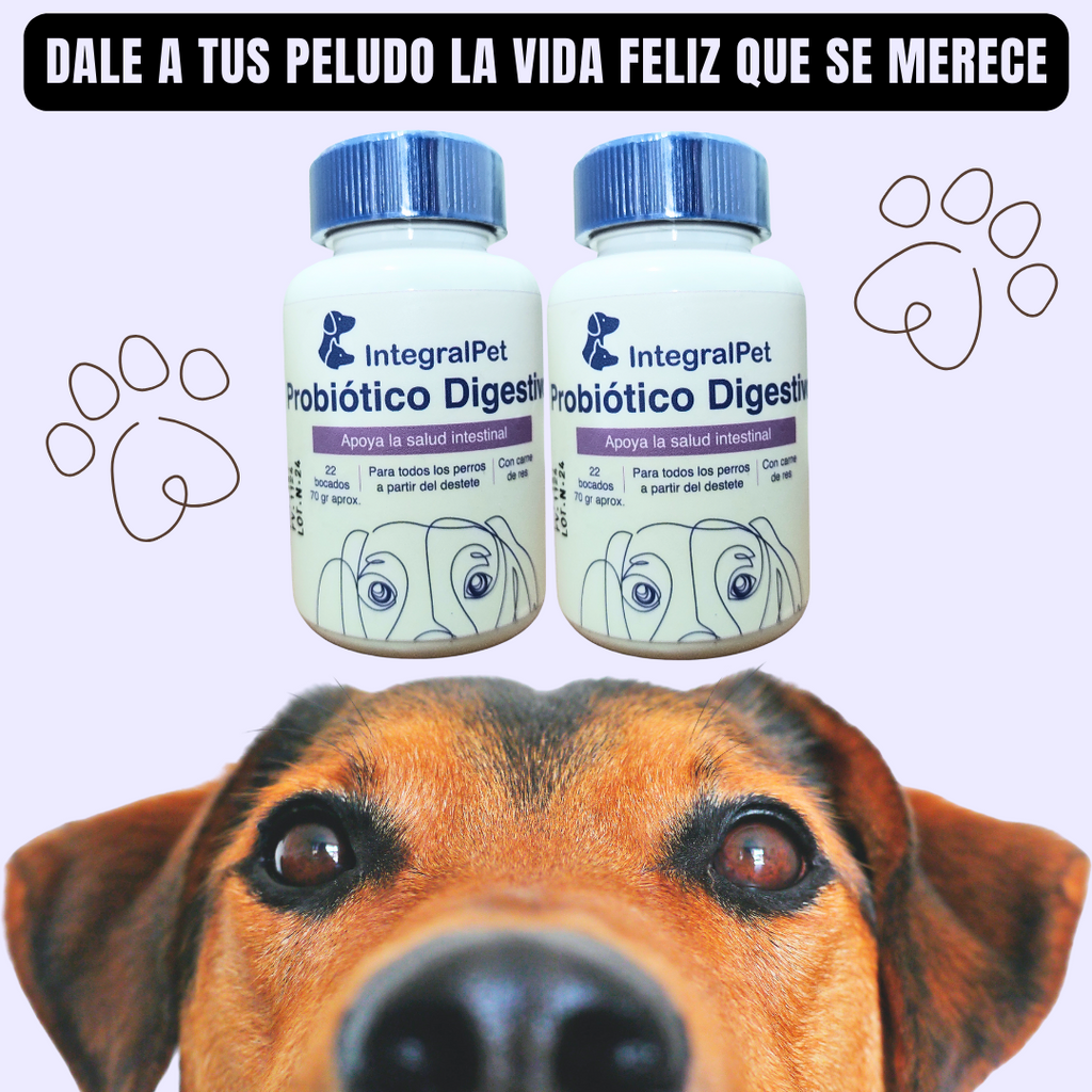 Bocados Integral Pet™️ Mejora su intestino y sus defensas – tellegoacasa