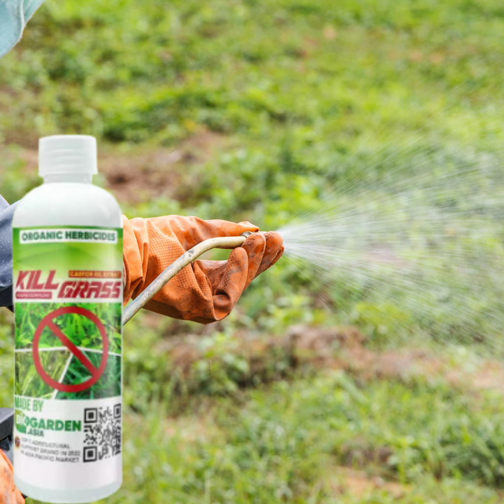 BioHerbicida Kill Grass™️ Mata malas hierbas sin dañar tus plantas ...