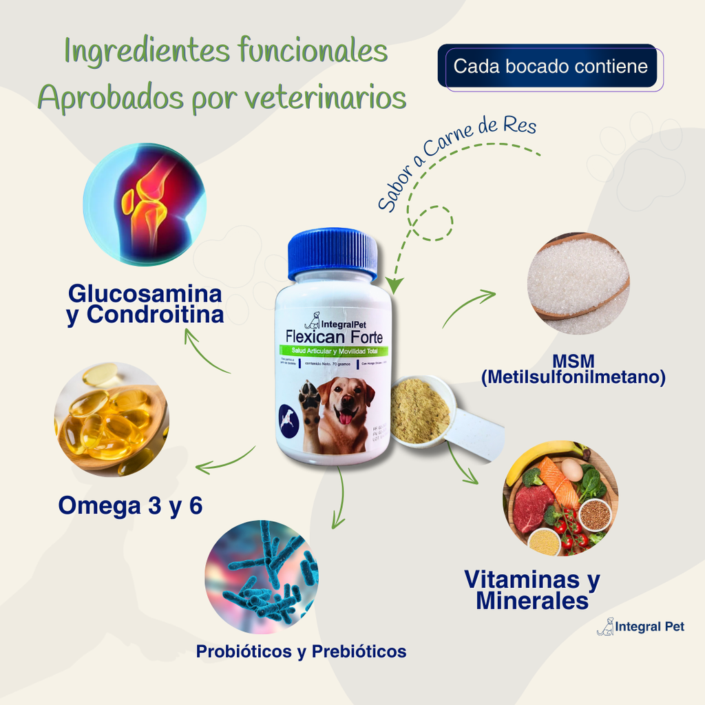 FlexiCan Forte™ Salud Articular y Movilidad Total – tellegoacasa